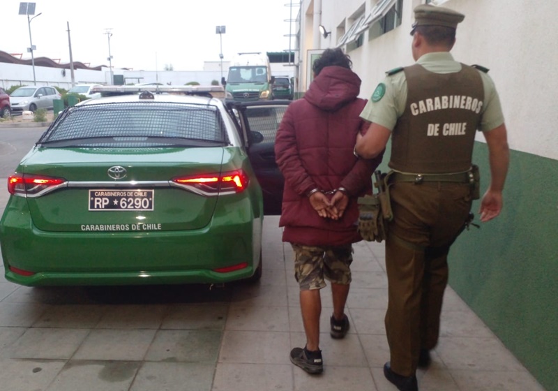 Andes On Line Mujer Observó Por Las Cámaras De Seguridad Cuando