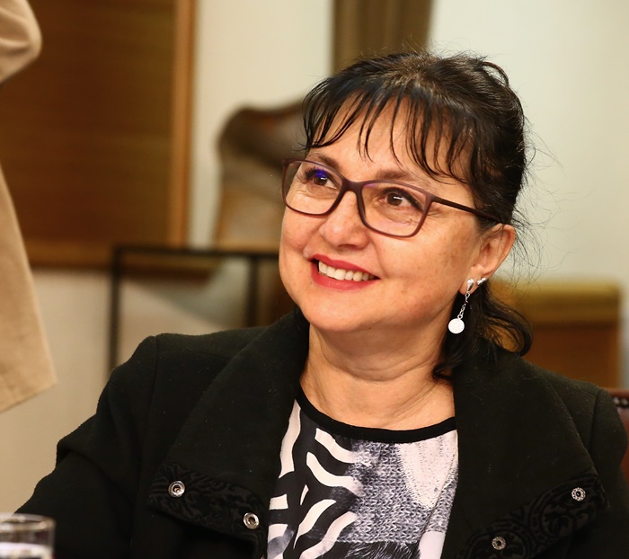 Andes on line | Diputada por Aconcagua Carolina Marzán solicitó ...