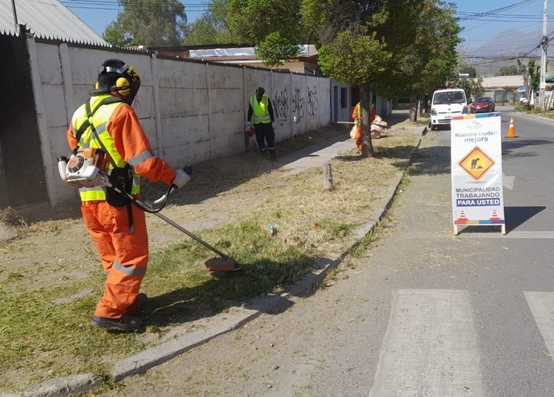 Andes on line | Comenzó programa de desmalezado para prevenir incendios ...