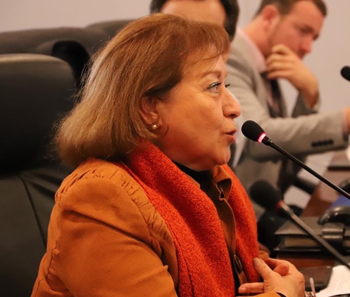 Andes on line | Core Edith Quiroz valoró aprobación de recursos para ...