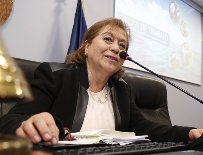 Andes on line | Core Edith Quiroz advirtió que las atribuciones de los ...