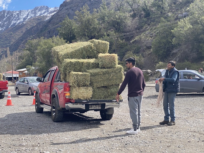 Andes on line | Andina entrega forraje en apoyo de ganaderos de la ...