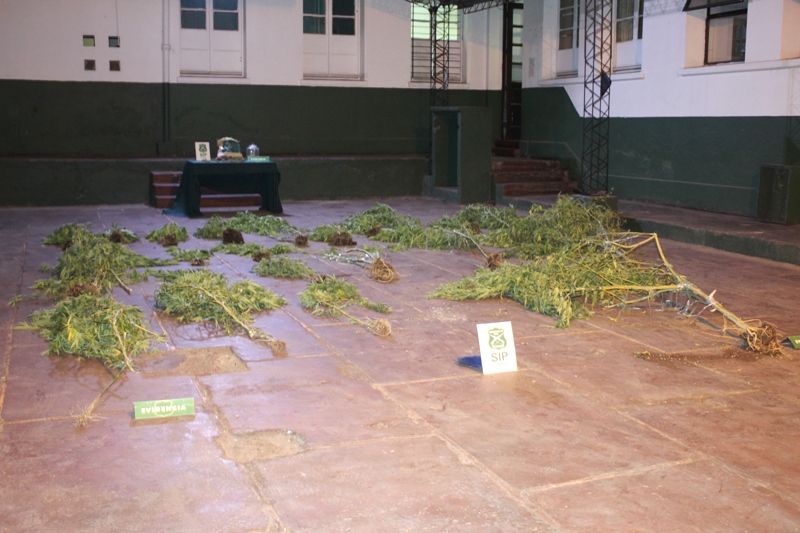 Andes On Line Descubren Cultivo Indoor De Marihuana En La Comuna De