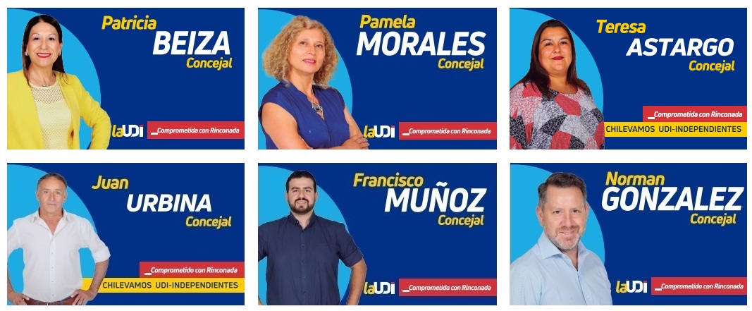 Andes on line | UDI presentó sus candidatos para las municipales en la ...