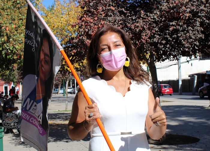 Andes on line | Concejala Benavides pidió transparentar situación de ...