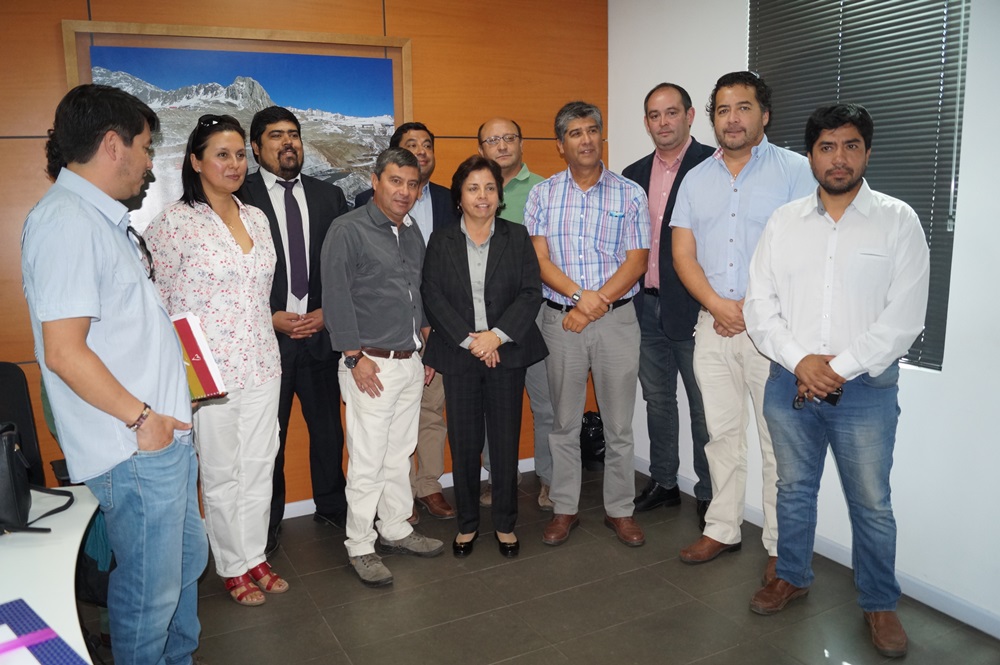 Andes on line | Ministra de Minería visitó instalaciones de la División ...