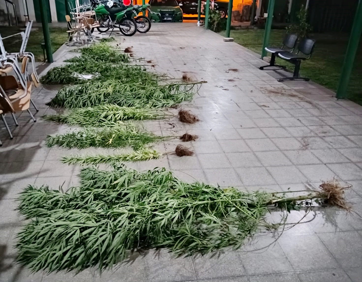 Andes On Line Carabineros De San Esteban Detiene A Mujer Que Mantenía