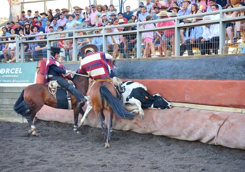Andes on line | Baraona y Aninat, en Convencida y Carabela, ganaron la ...