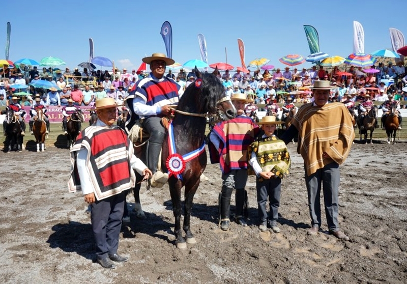 Andes on line | Baraona y Aninat, en Convencida y Carabela, ganaron la ...