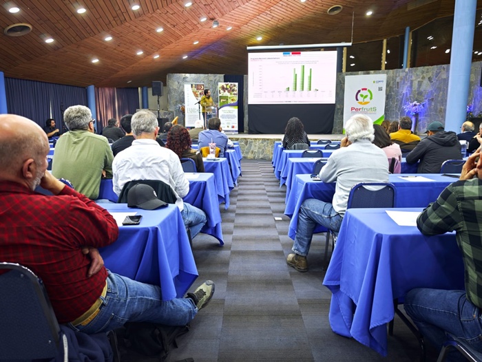 Andes on line | Exitosos resultados de piloto de Systems Approach Area ...