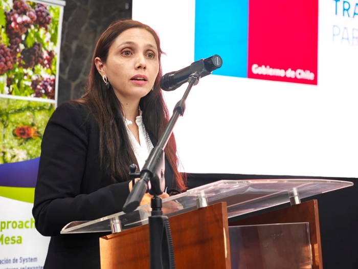 Andes on line | Exitosos resultados de piloto de Systems Approach Area ...